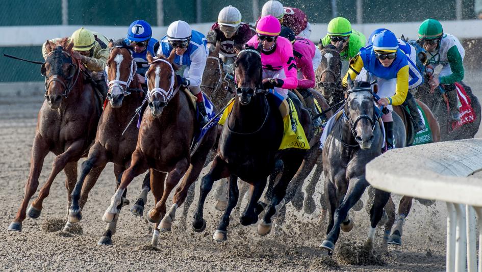 2025 Louisiana Derby Cheat Sheet | Equibase